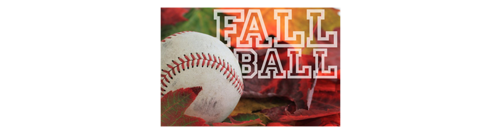 Home [www.mtlaurelbaseball.com]